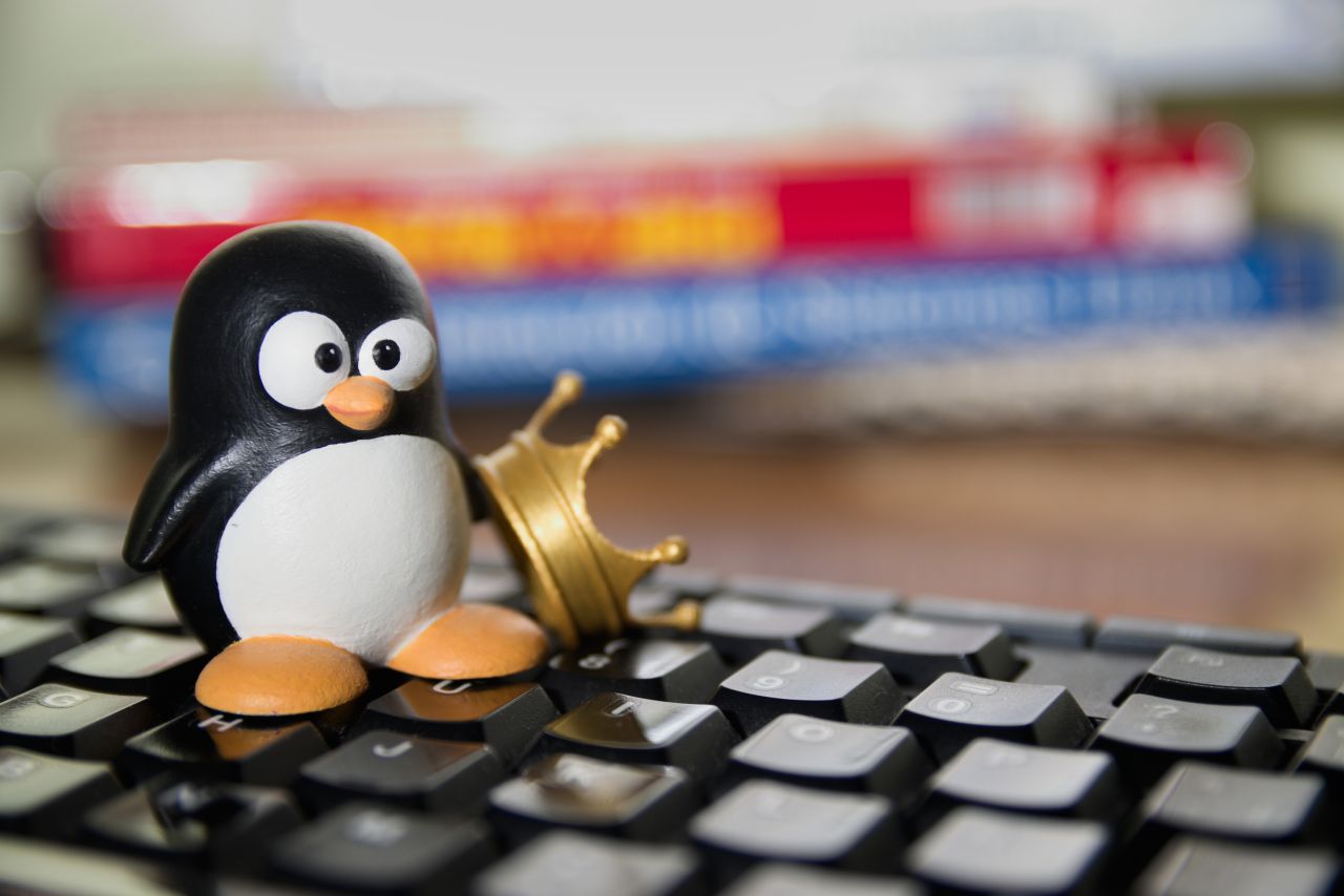 Windows vs Linux – welches Betriebssystem für welchen Zweck?