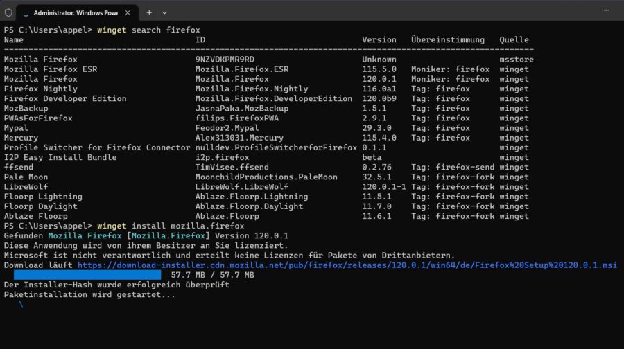 Winget – der Windows Package Manager im Fokus - WinTotal.de