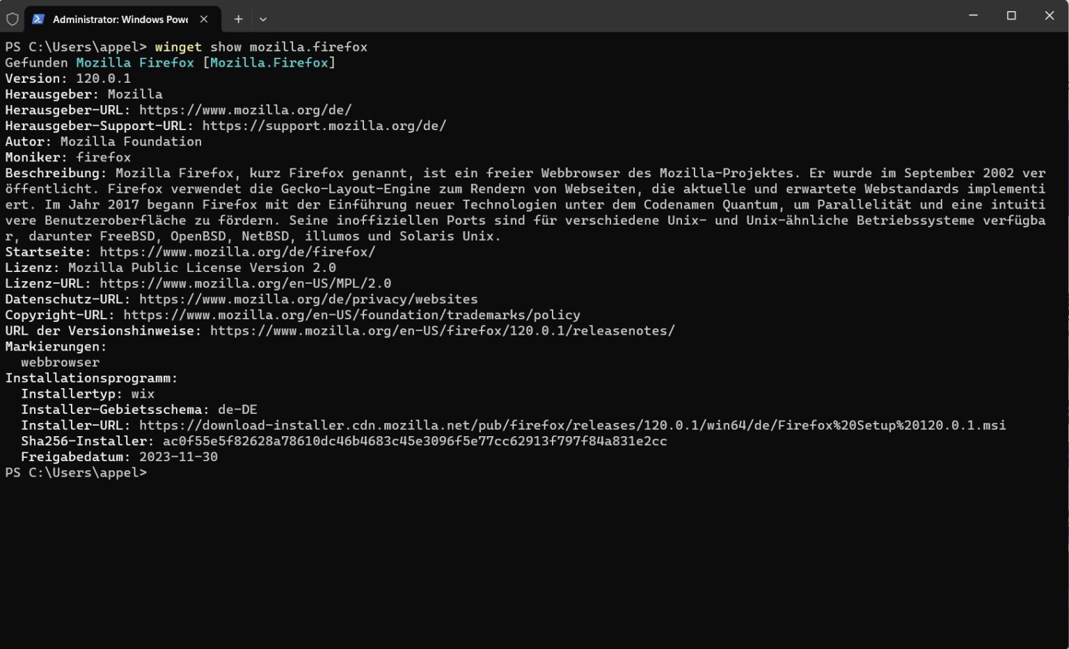 Winget – der Windows Package Manager im Fokus - WinTotal.de
